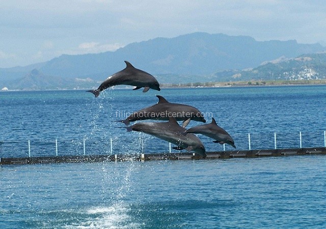 Subic Bay Tour - Filipino Travel Center