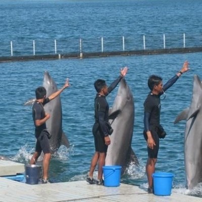 Subic Bay Tour - Filipino Travel Center