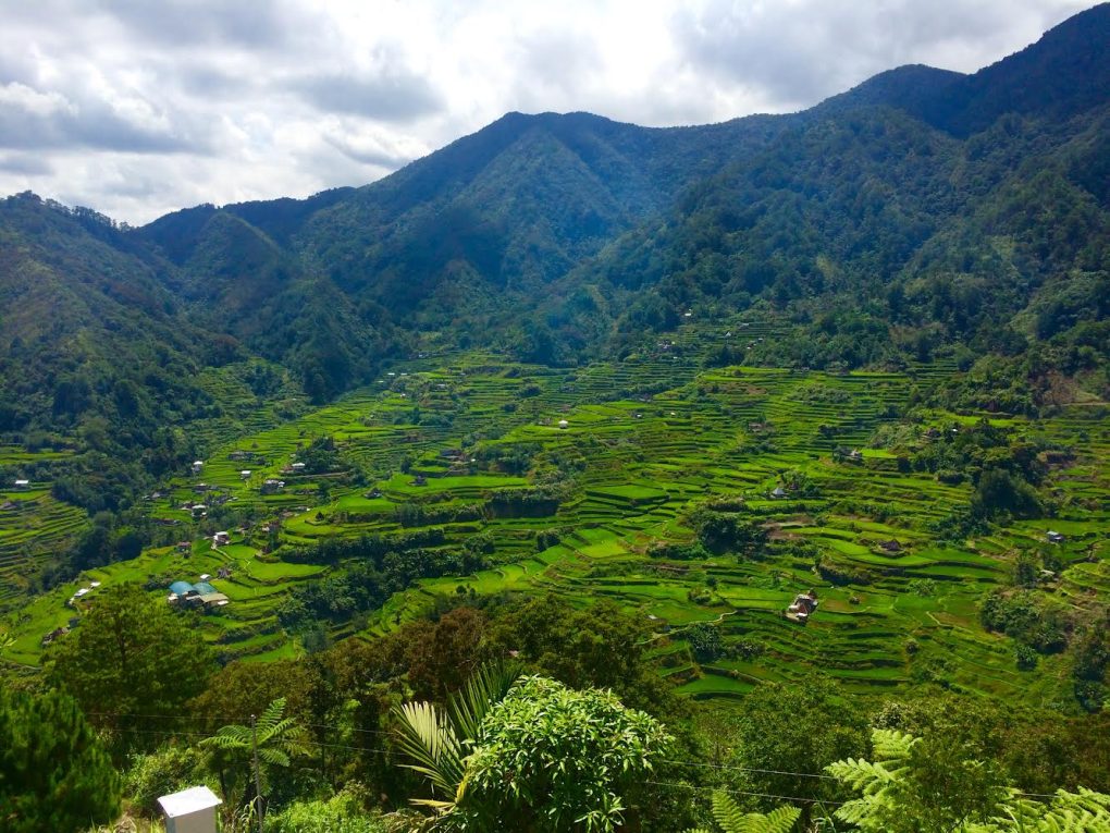 4 Days/3 Nights Tour of 7 Rice Terraces and Sagada - Philippines Banaue ...